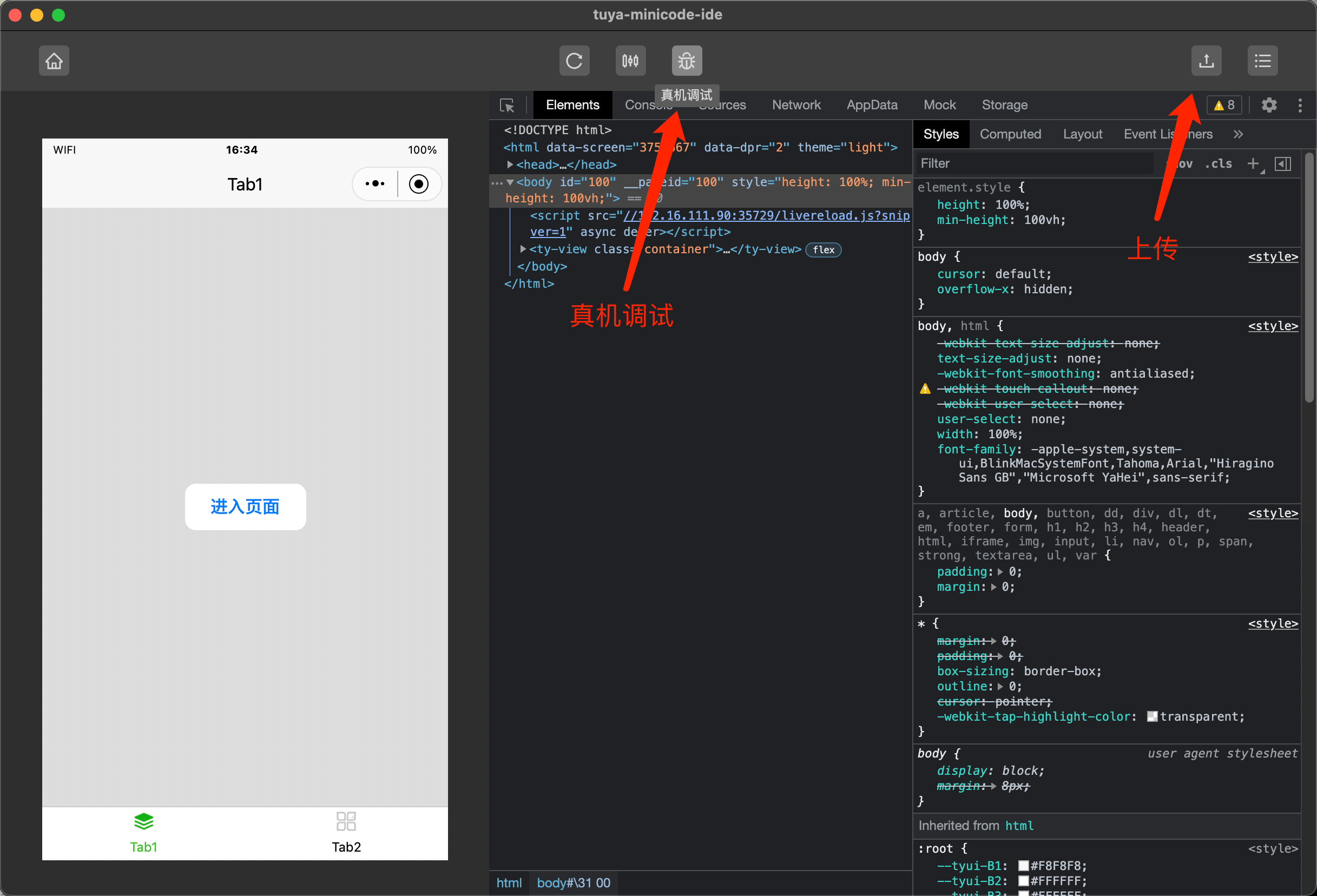 Panel Miniapp project start